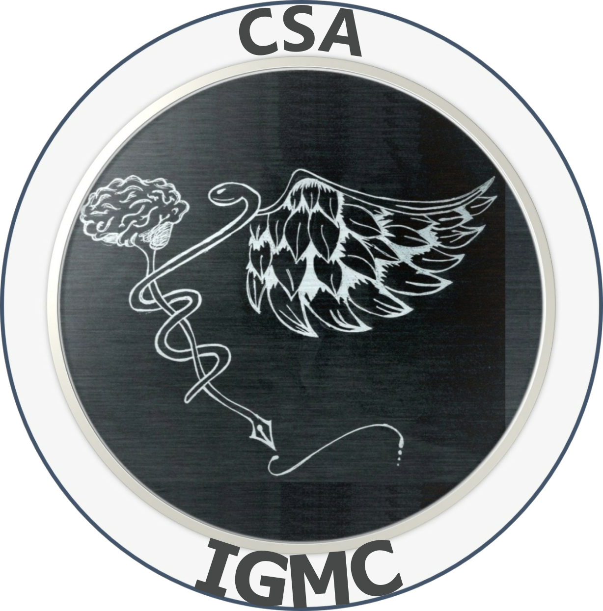 CSA IGMC